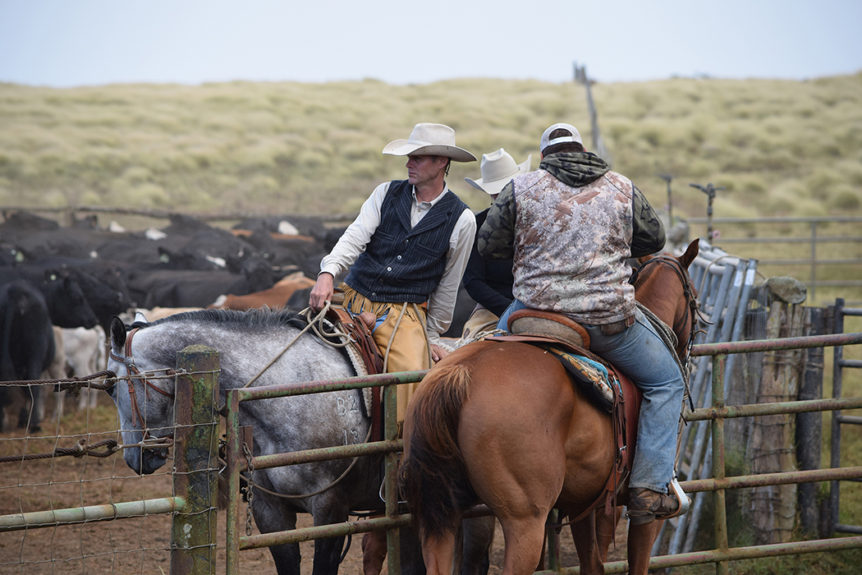 Ranch Employees-Recruiting the Right Kind-Progressive Cattle - King ...